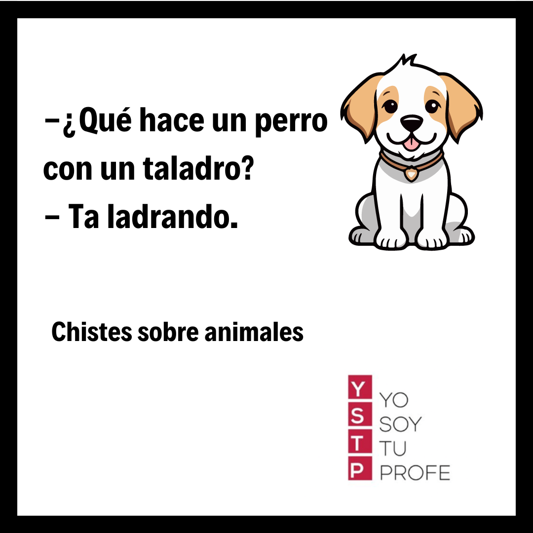 5 chistes cortos sobre animales para reírte un rato en familia - Yo Soy ...