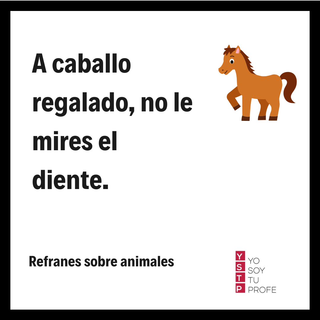 10 refranes sobre animales para enseñar a los más peques de la casa ...